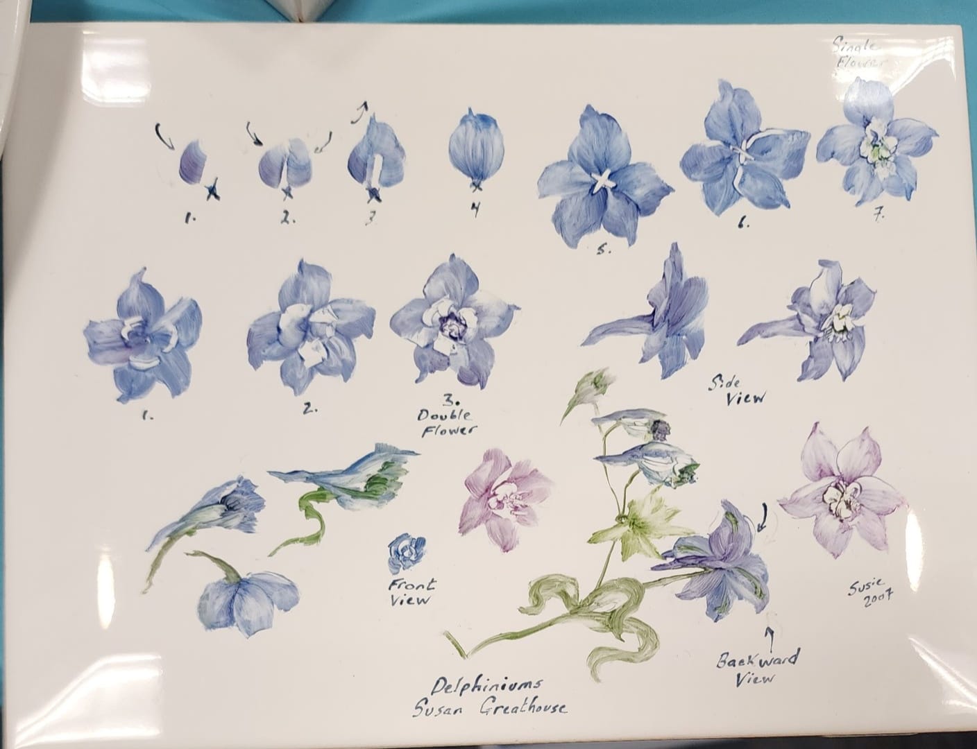 Delphinum – Susan Greathouse – China Painting Texas Teachers